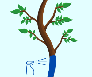 Method: Basal Bark Application - Big Island Invasive Species Committee ...