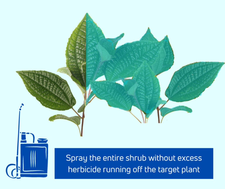 Method: Foliar - Big Island Invasive Species Committee (BIISC)