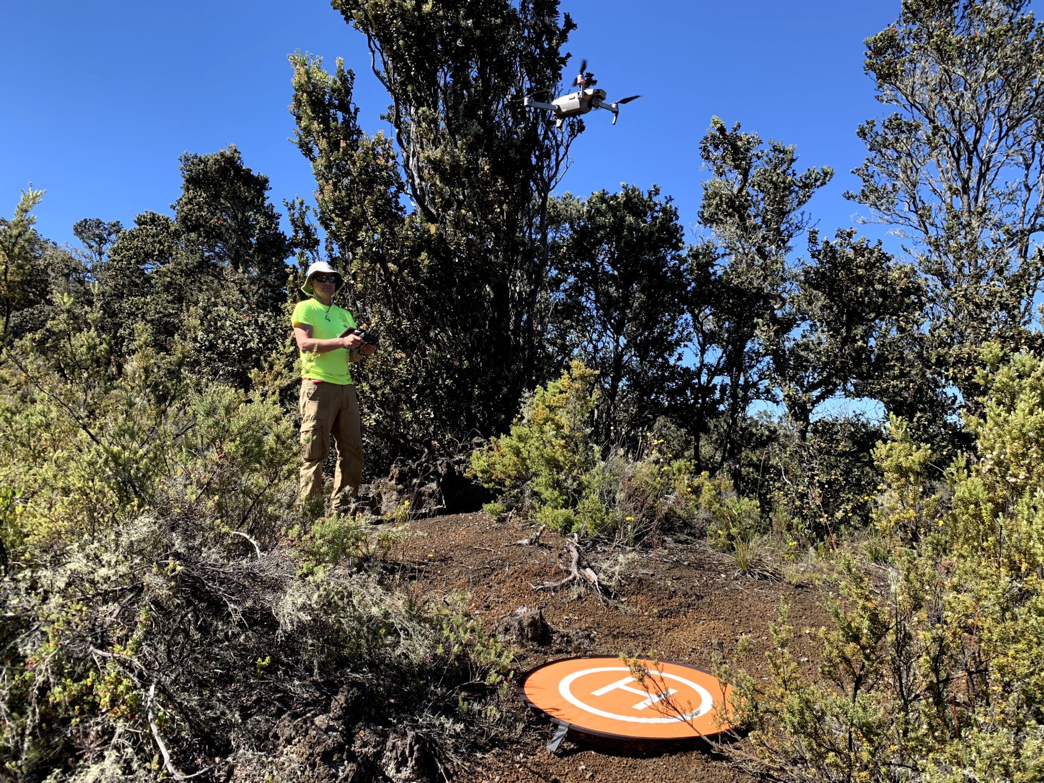 What We Do - Big Island Invasive Species Committee (BIISC)