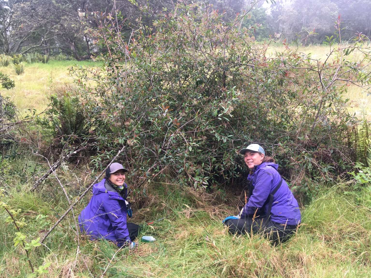 About Us - Big Island Invasive Species Committee (BIISC)