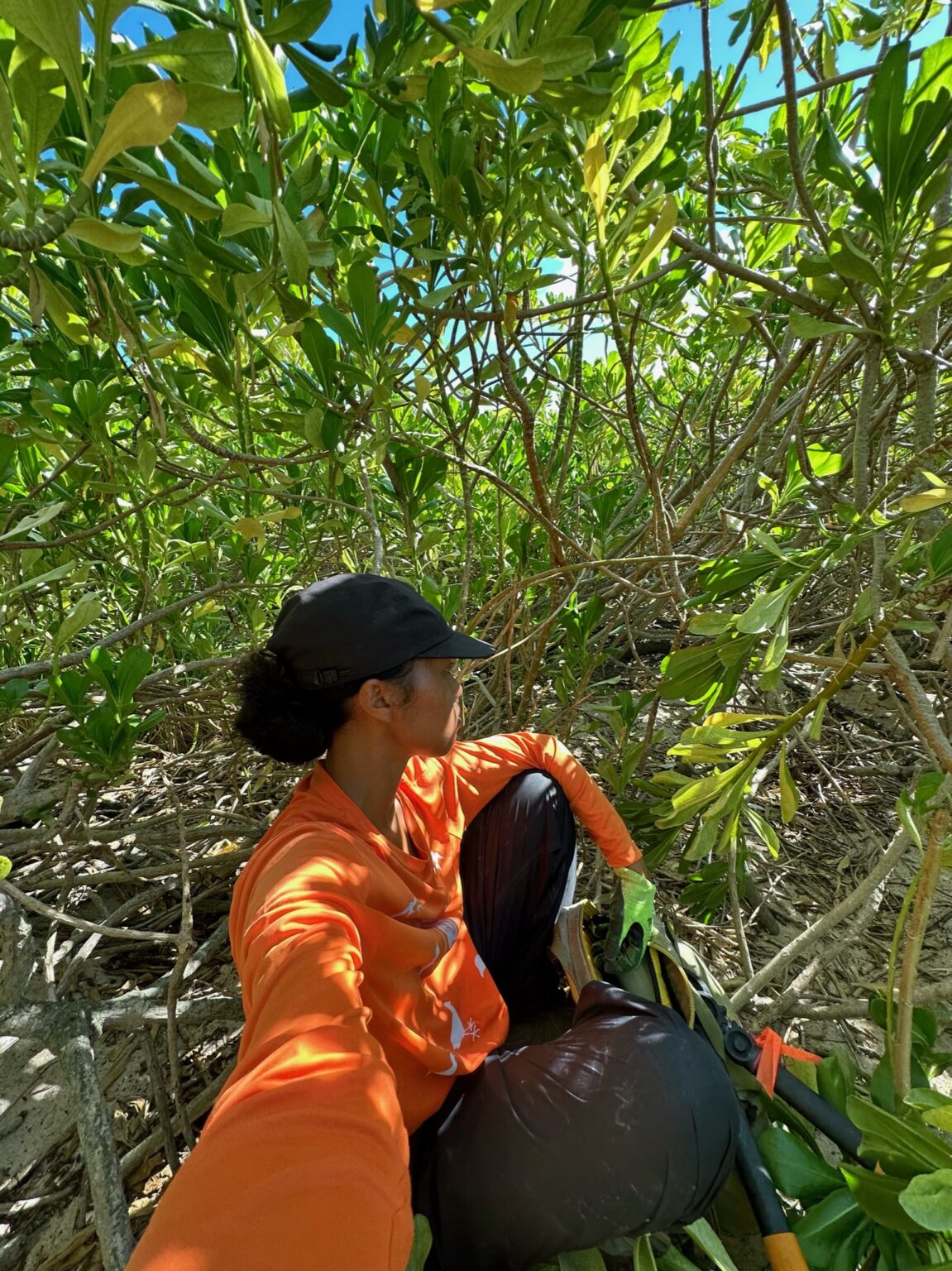 Who We Are - Big Island Invasive Species Committee (BIISC)